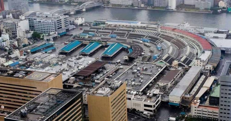 Tokyo Travel: Odaiba Area Guide | japanistry.com