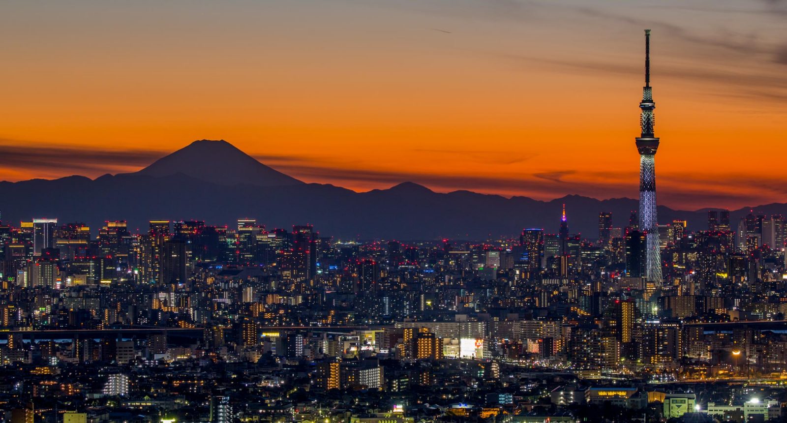 Tokyo Metropolis: A Guide to the Capital | japanistry.com