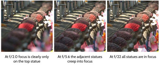 Depth of Focus | japanistry.com