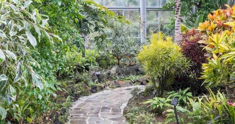 Tokyo Travel: Hachijojima Island Guide | japanistry.com