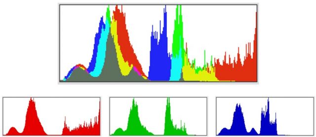 Histograms in Photography | japanistry.com