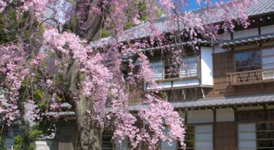 Daimyo Clock Museum | japanistry.com