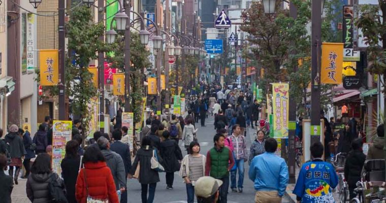 Tokyo Travel: Odaiba Area Guide | japanistry.com