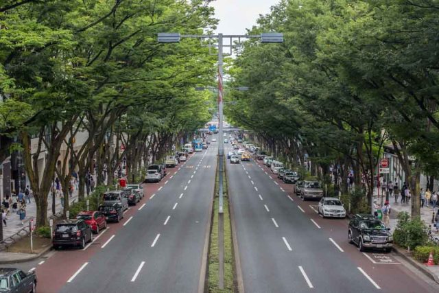 Tokyo Travel: Omotesando Area Guide | japanistry.com