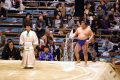 Sumo: The History & Rules of Japan's National Sport | japanistry.com