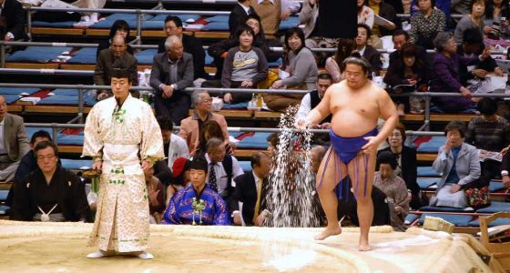 November Fukuoka Sumo Tournament 2025 | japanistry.com
