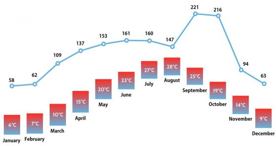 When is the Best Time to Visit Tokyo? | japanistry.com