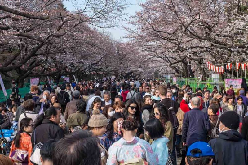 Ueno Park | japanistry.com