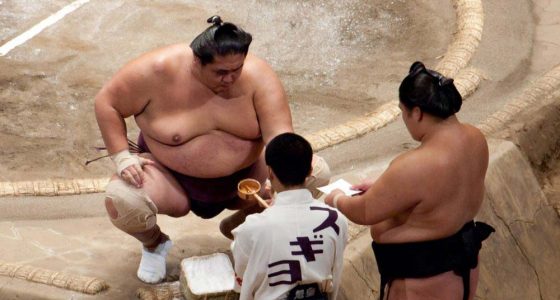 July Nagoya Sumo Tournament 2025 | japanistry.com