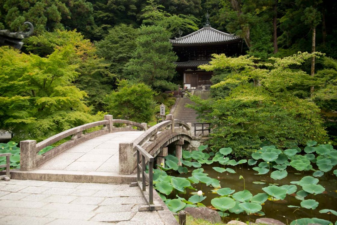 Chionin | japanistry.com