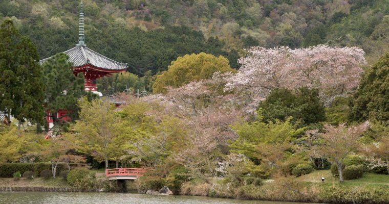 Akagi Shrine | japanistry.com