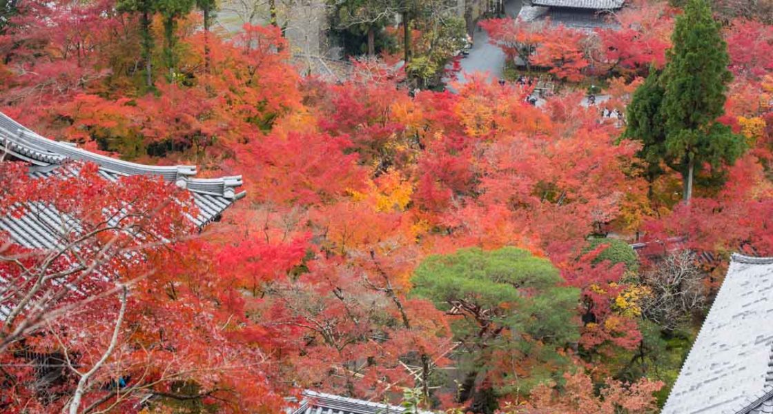 Eikando Temple | japanistry.com