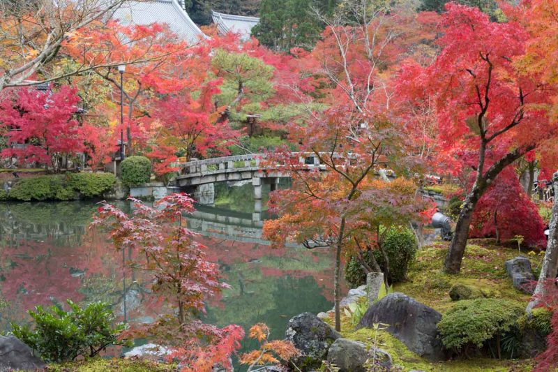 Eikando Temple | japanistry.com