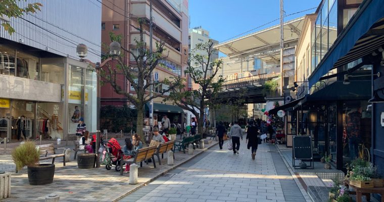 Tokyo Travel: Odaiba Area Guide | japanistry.com