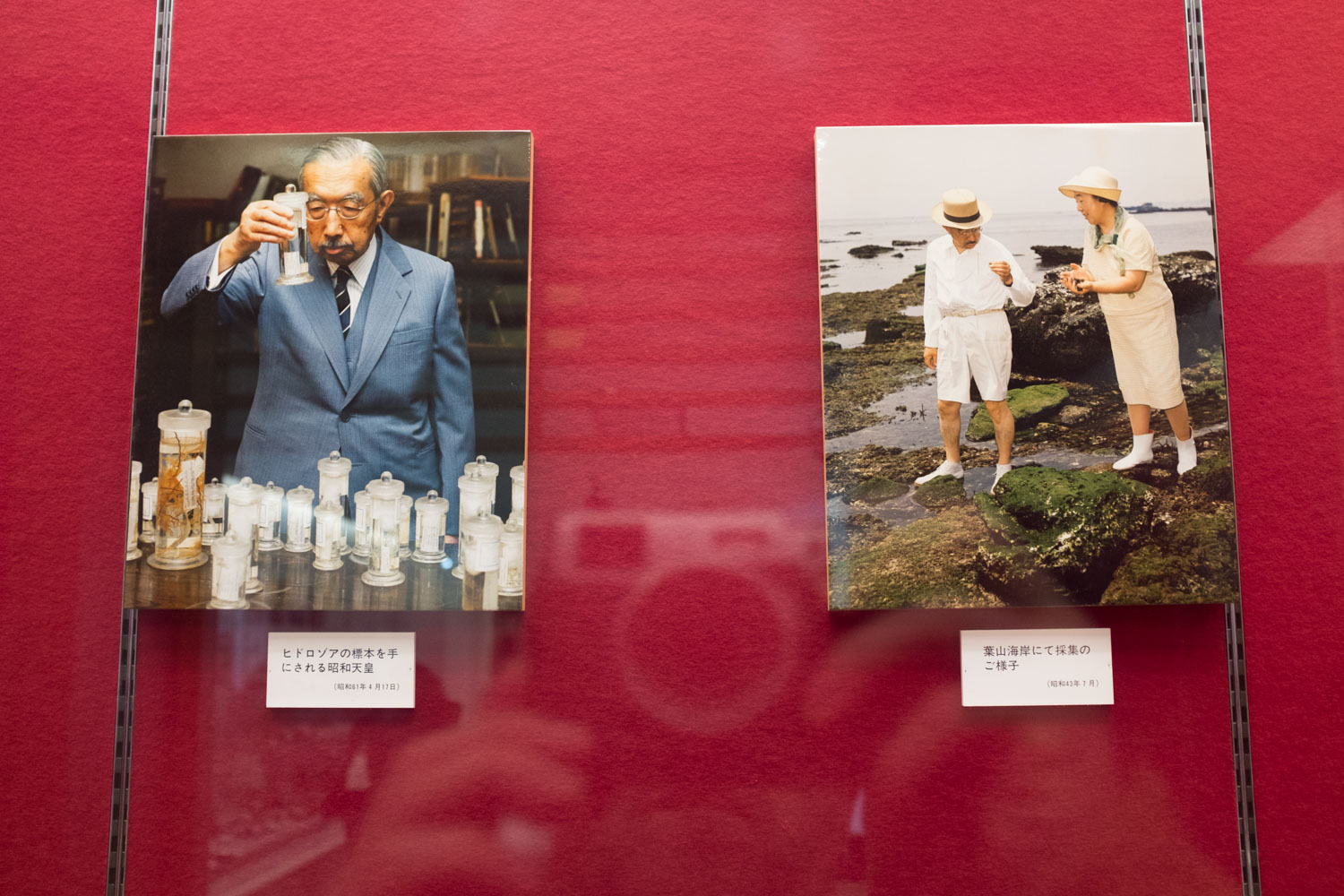 Hayama Shiosai Park and Museum | japanistry.com